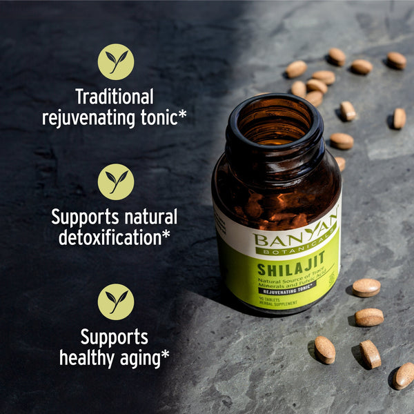 Shilajit tablets | Certified Organic – Good Karma Wholesale